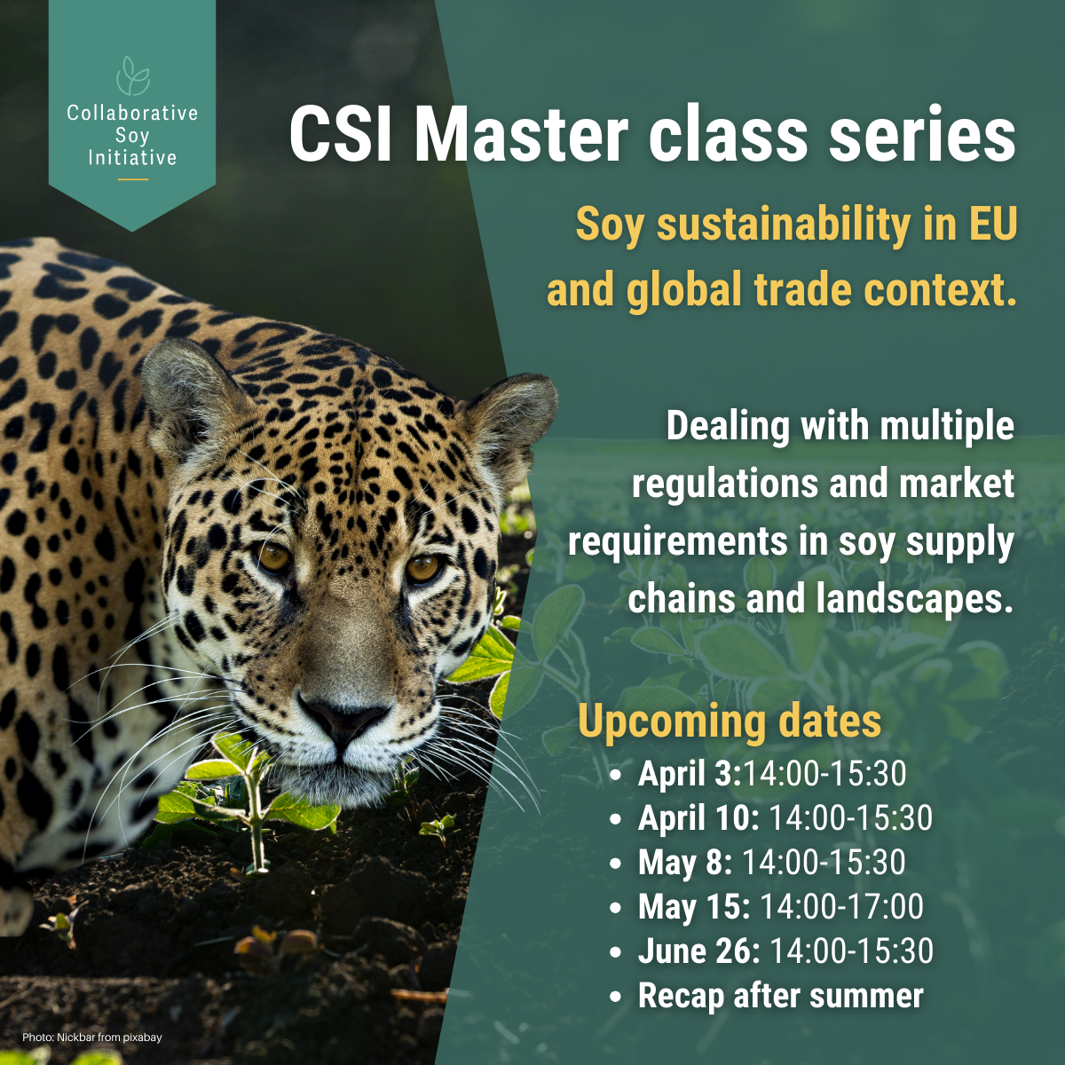 Master Class Series April-November 2025 – Activities – The Collaborative Soy Initiative