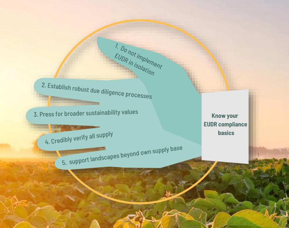 Guide launched: EU Compliant Soy with Impact, version 1.0 – Events ...