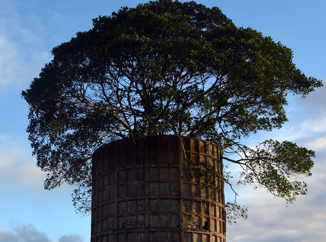 Guiding through guidances. Launching event of CSI Company Guidance EU ...